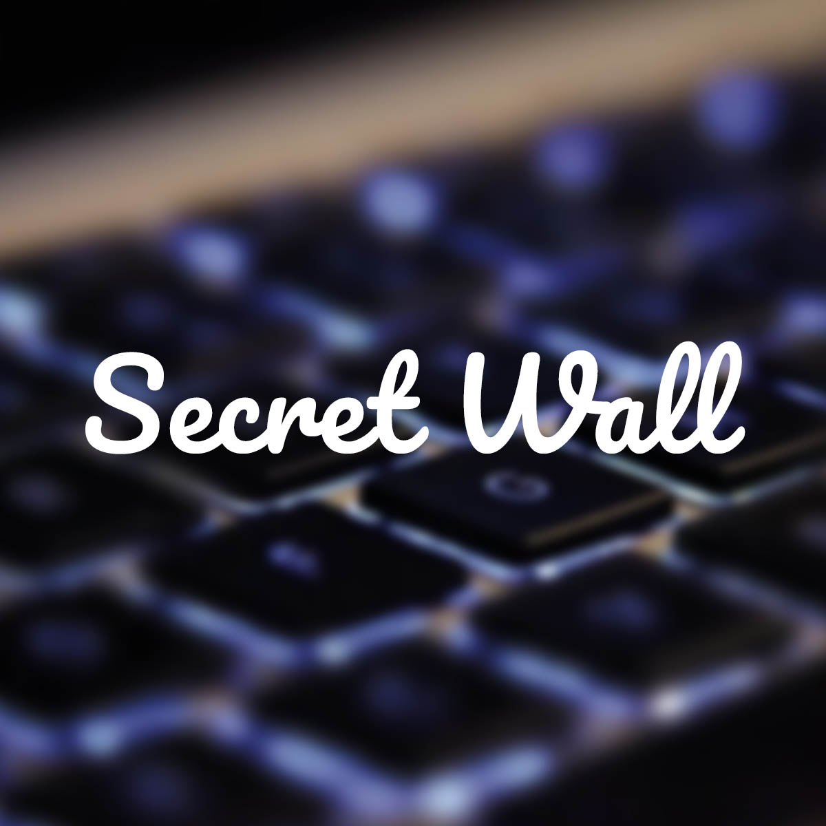 Secret Wall long